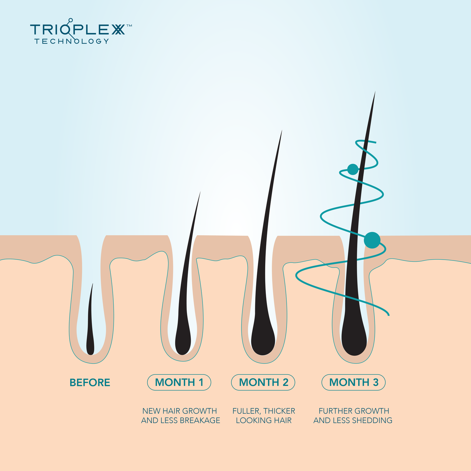 We Are Paradoxx - the Sustainable Plastic Free Beauty Company